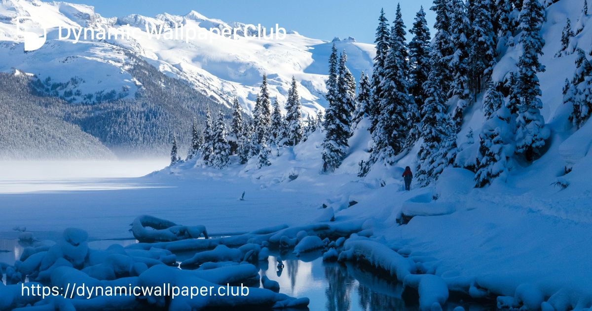 neige - Dynamic Wallpaper Club