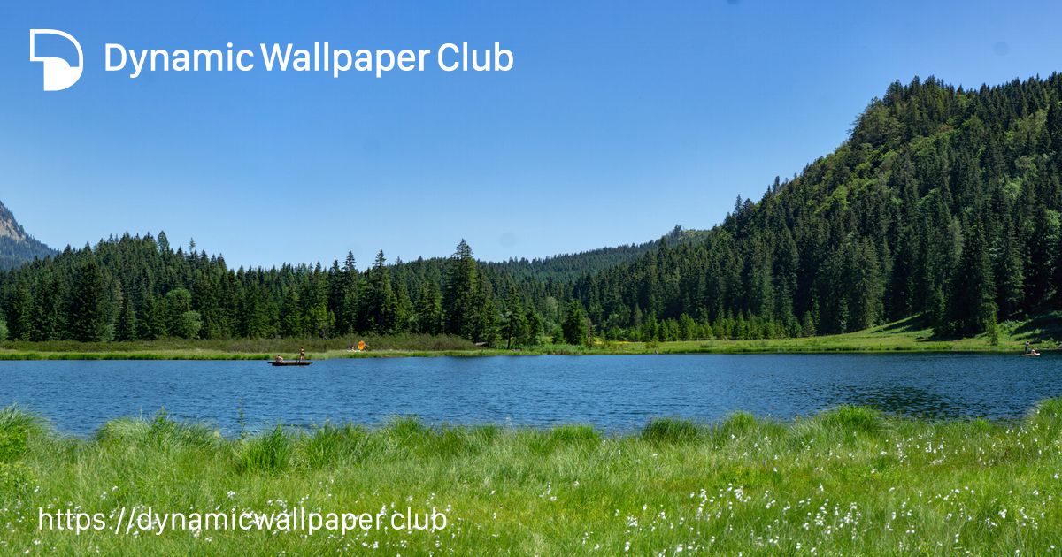 Forest Panoramic - Dynamic Wallpaper Club