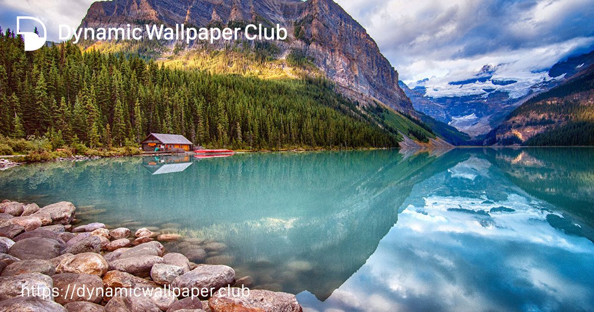 summer - Dynamic Wallpaper Club