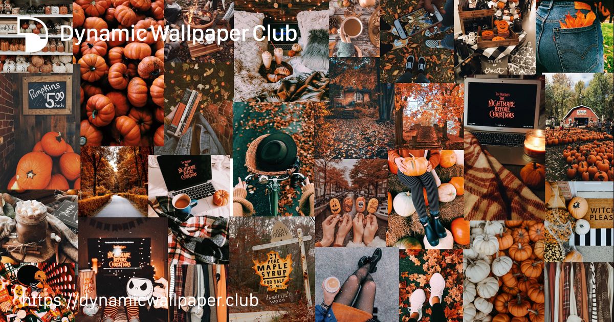 Halloween Collage Spooky Night - Dynamic Wallpaper Club