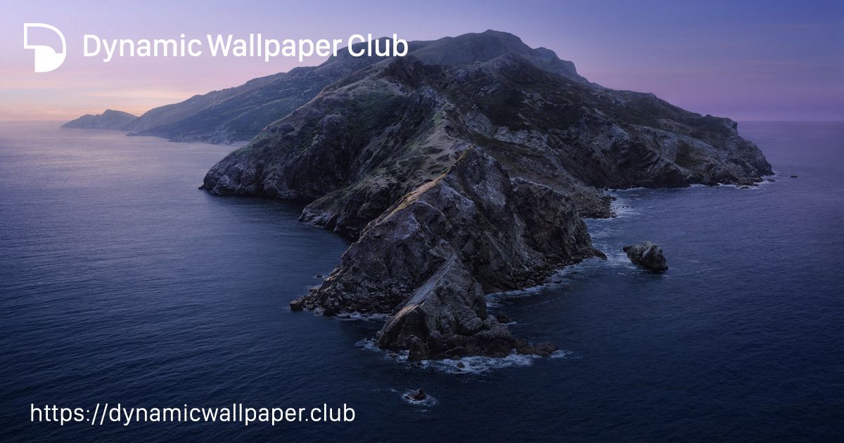 catarina - Dynamic Wallpaper Club