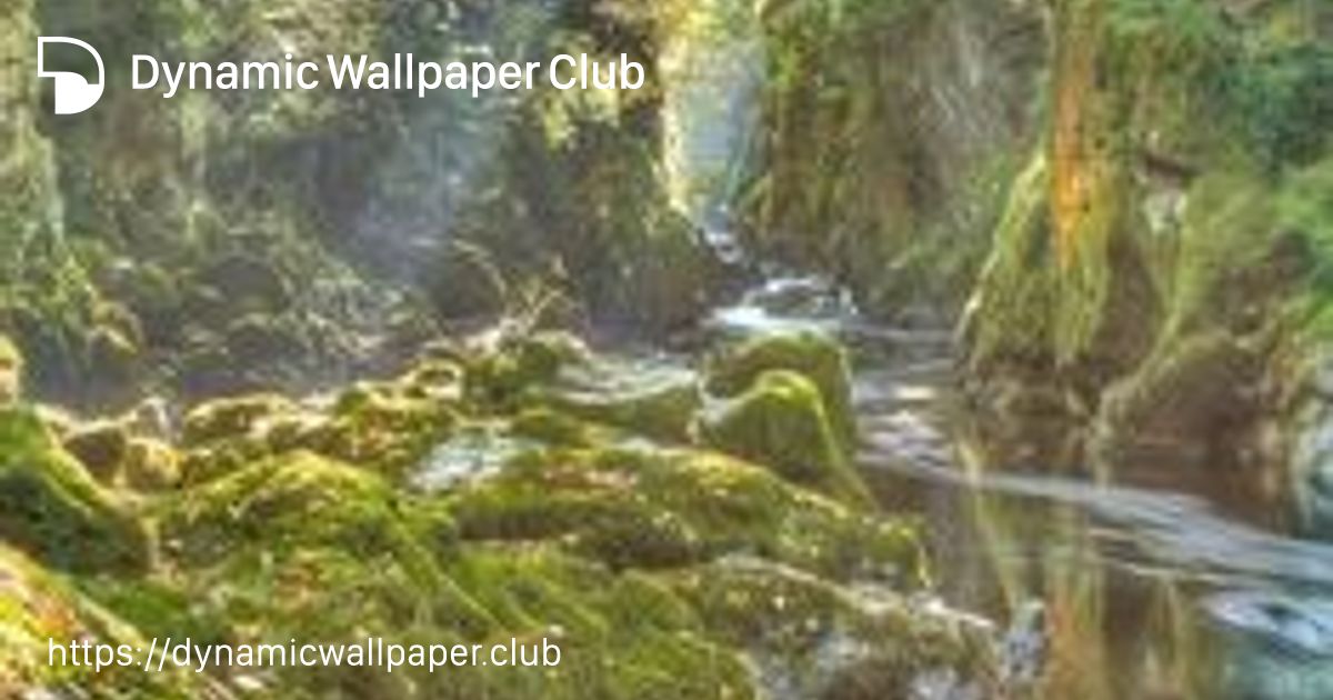 fgd - Dynamic Wallpaper Club