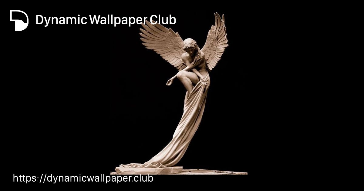 The angel - Dynamic Wallpaper Club