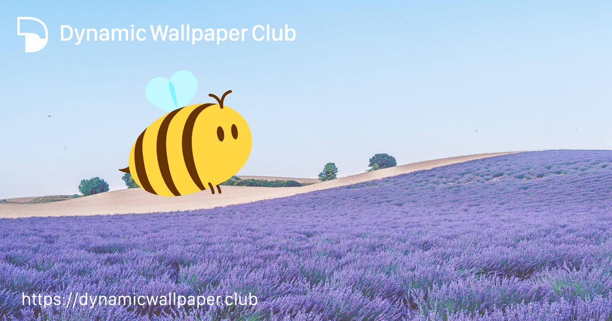 Bees Day - Dynamic Wallpaper Club