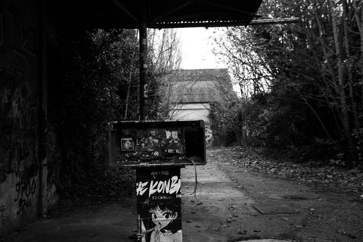 Dynamic Wallpaper Gallery - Dynamic Wallpaper Club