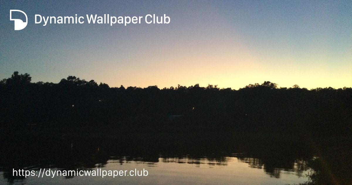 nature - Dynamic Wallpaper Club