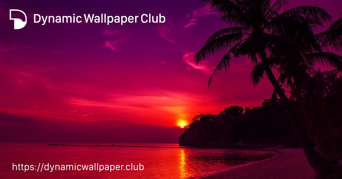 Beach - Dynamic Wallpaper Club