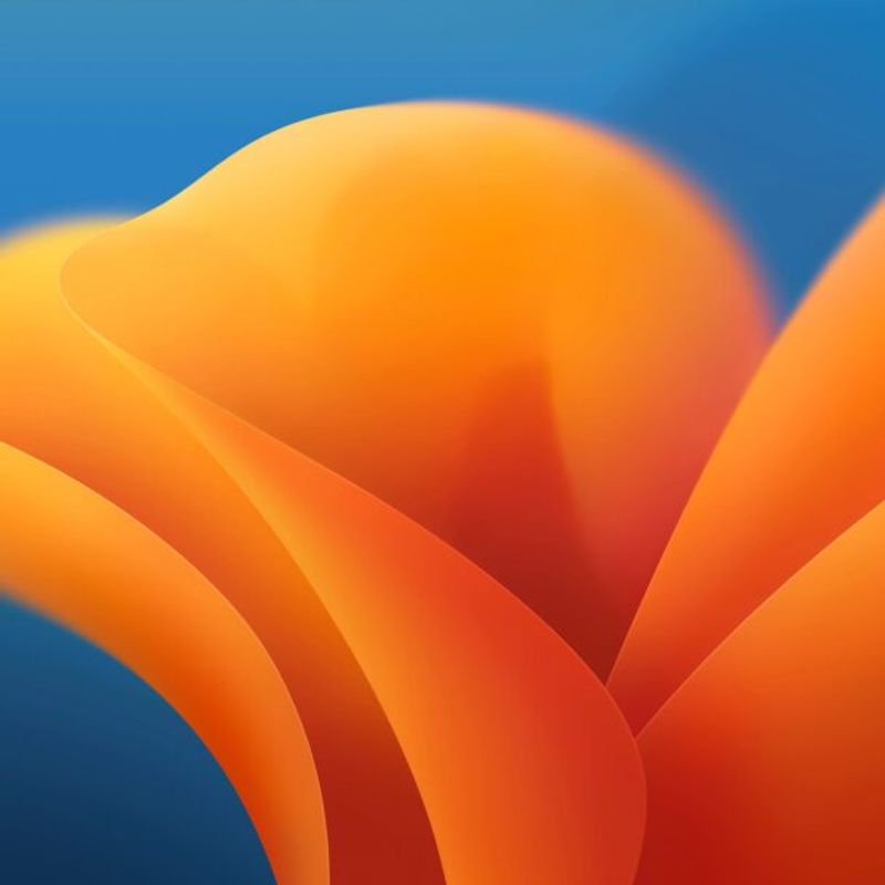 Dynamic Wallpaper Gallery - Dynamic Wallpaper Club