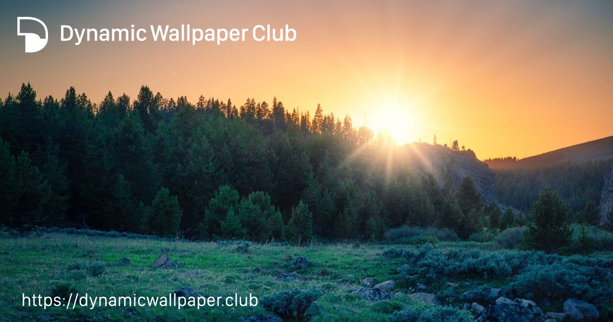 mood - Dynamic Wallpaper Club