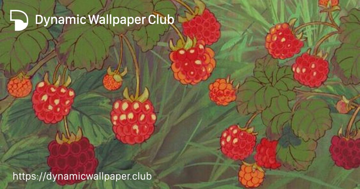 Raspberry - Dynamic Wallpaper Club
