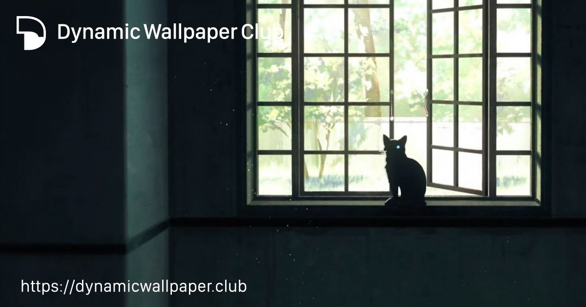 jjk intro - Dynamic Wallpaper Club