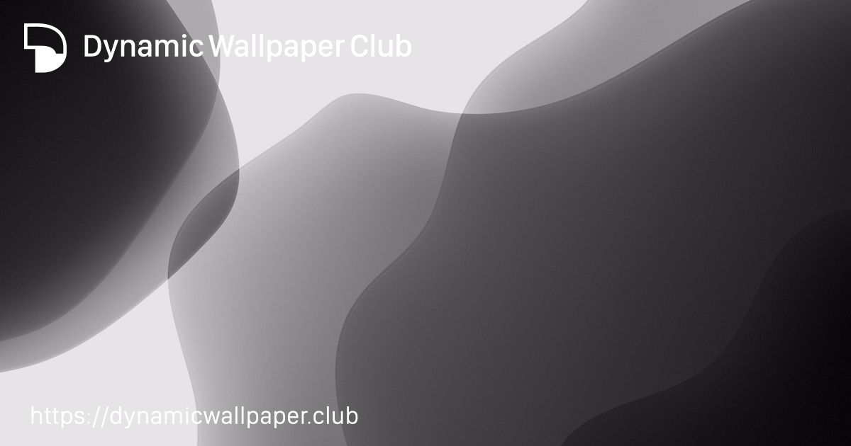 Black - Dynamic Wallpaper Club