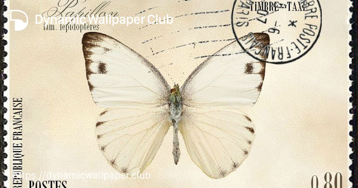 Butterfly - Dynamic Wallpaper Club
