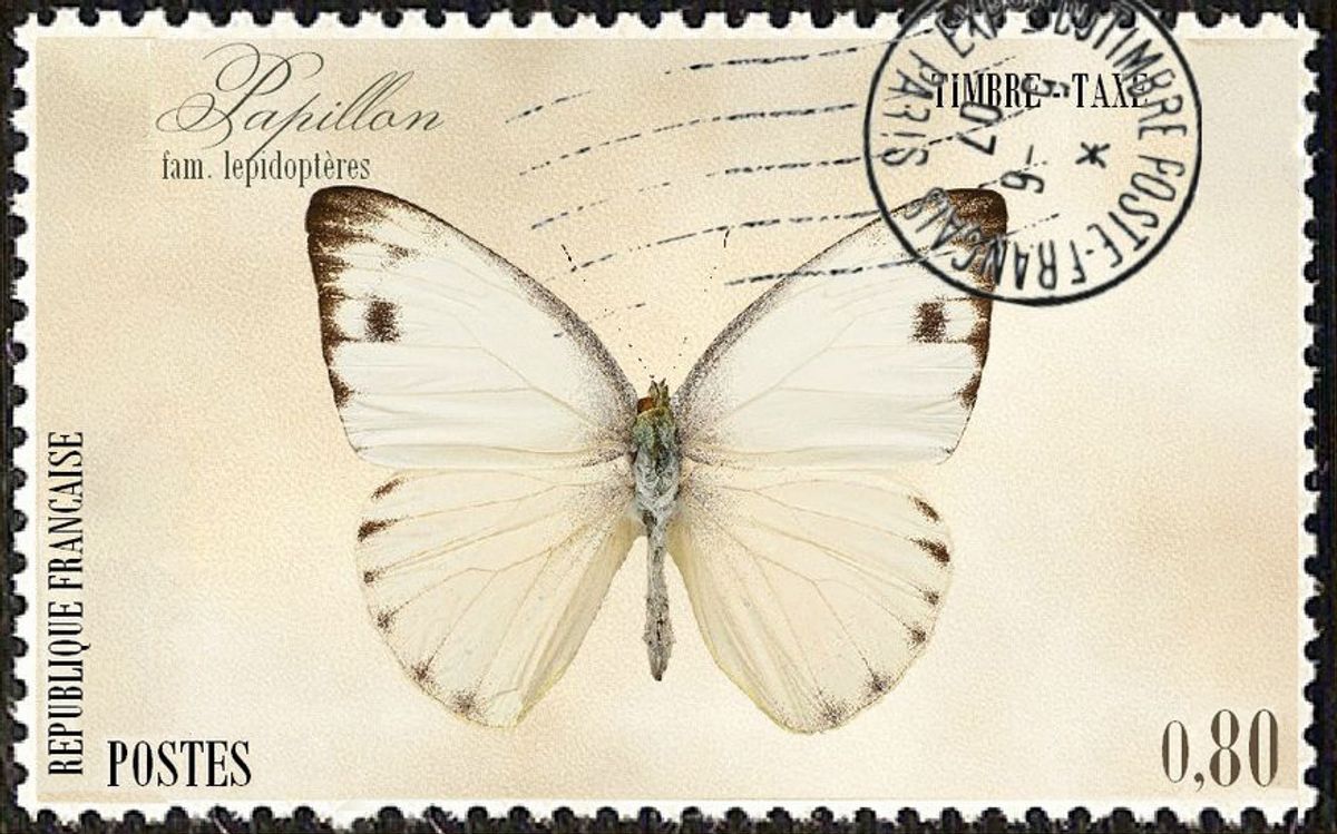 Dynamic Wallpaper Gallery - Dynamic Wallpaper Club