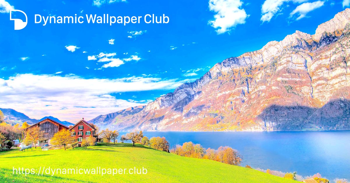 Fall Day and Night Dynamic - Dynamic Wallpaper Club