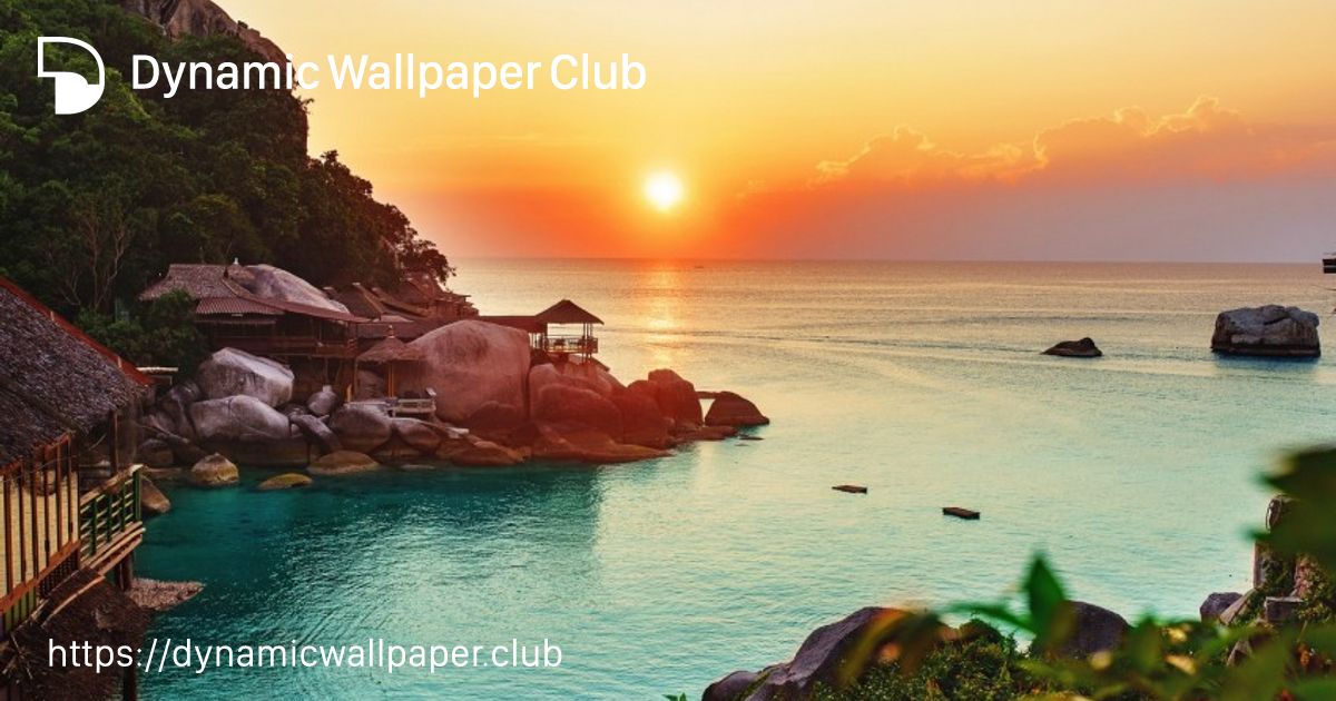 Beach - Dynamic Wallpaper Club