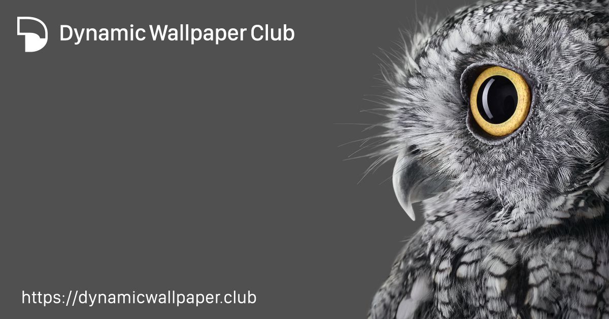 first - Dynamic Wallpaper Club