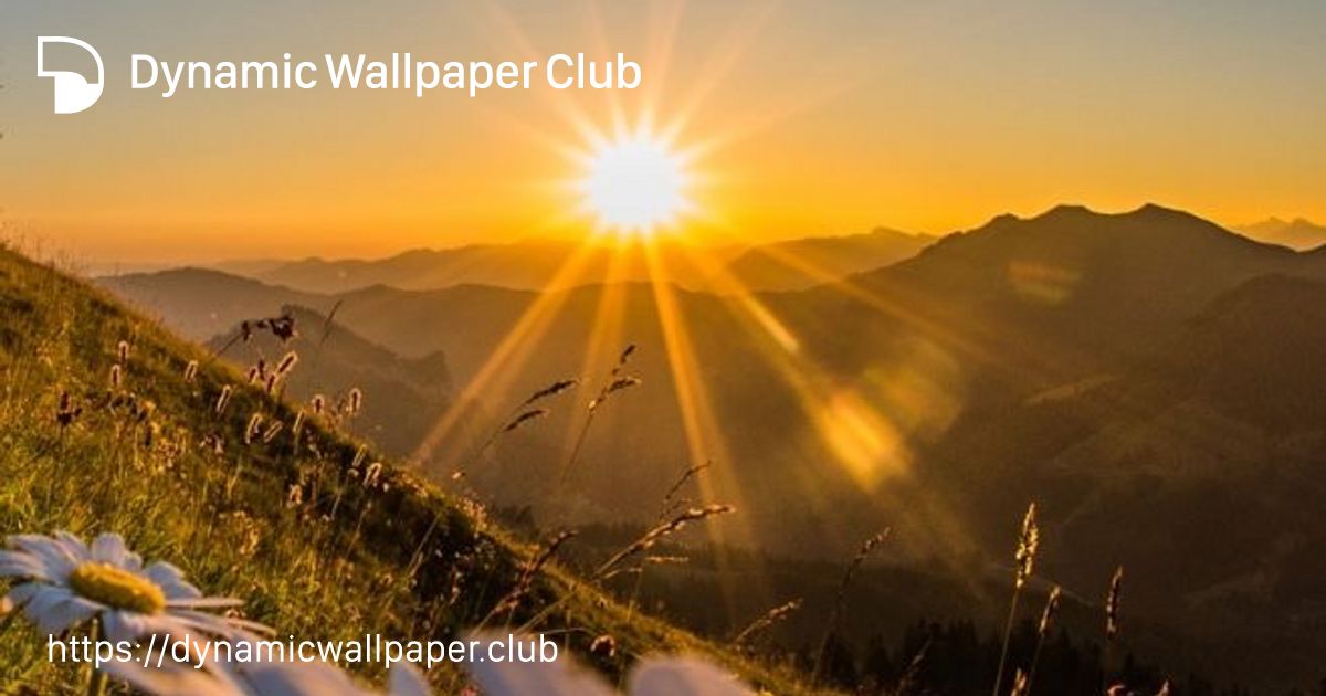 Day to night - Dynamic Wallpaper Club