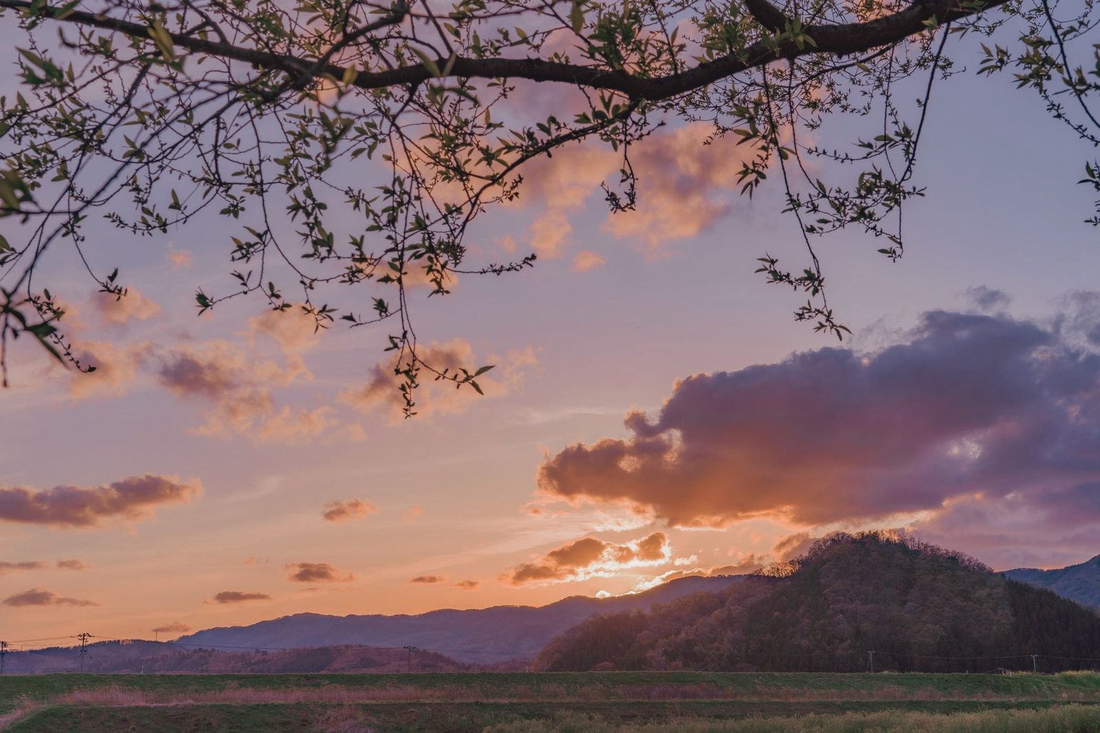 Dynamic Wallpaper Gallery - Dynamic Wallpaper Club