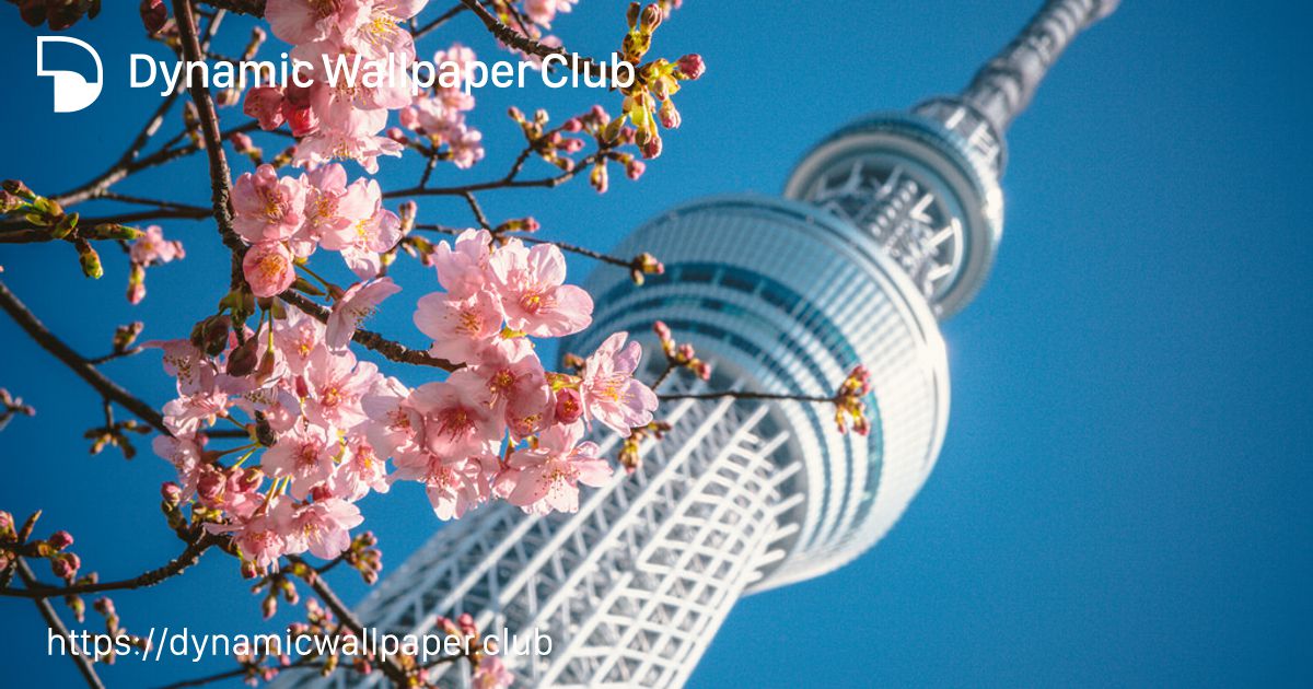 Tokio - Dynamic Wallpaper Club