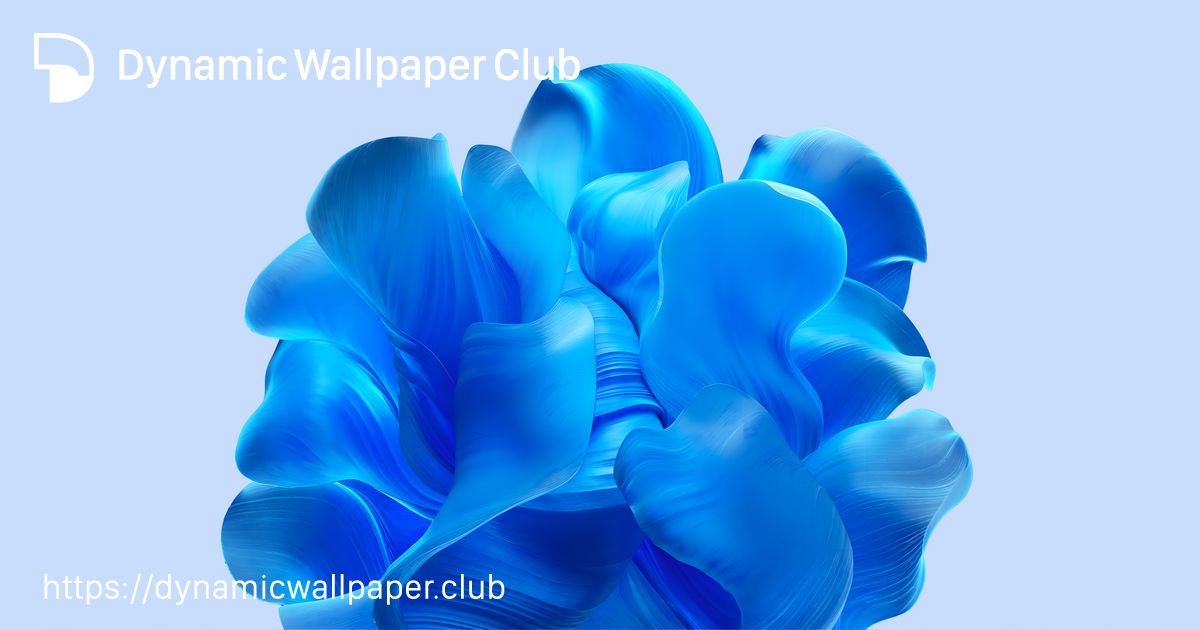 Windows 11 Flower - Dynamic Wallpaper Club
