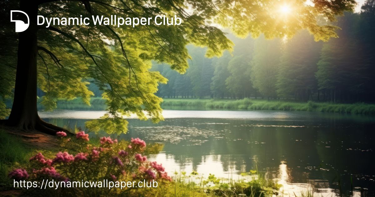 pretty scenes - Dynamic Wallpaper Club