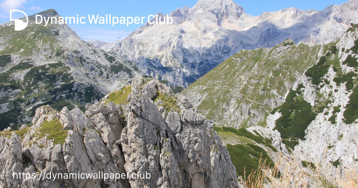 BEST - Dynamic Wallpaper Club