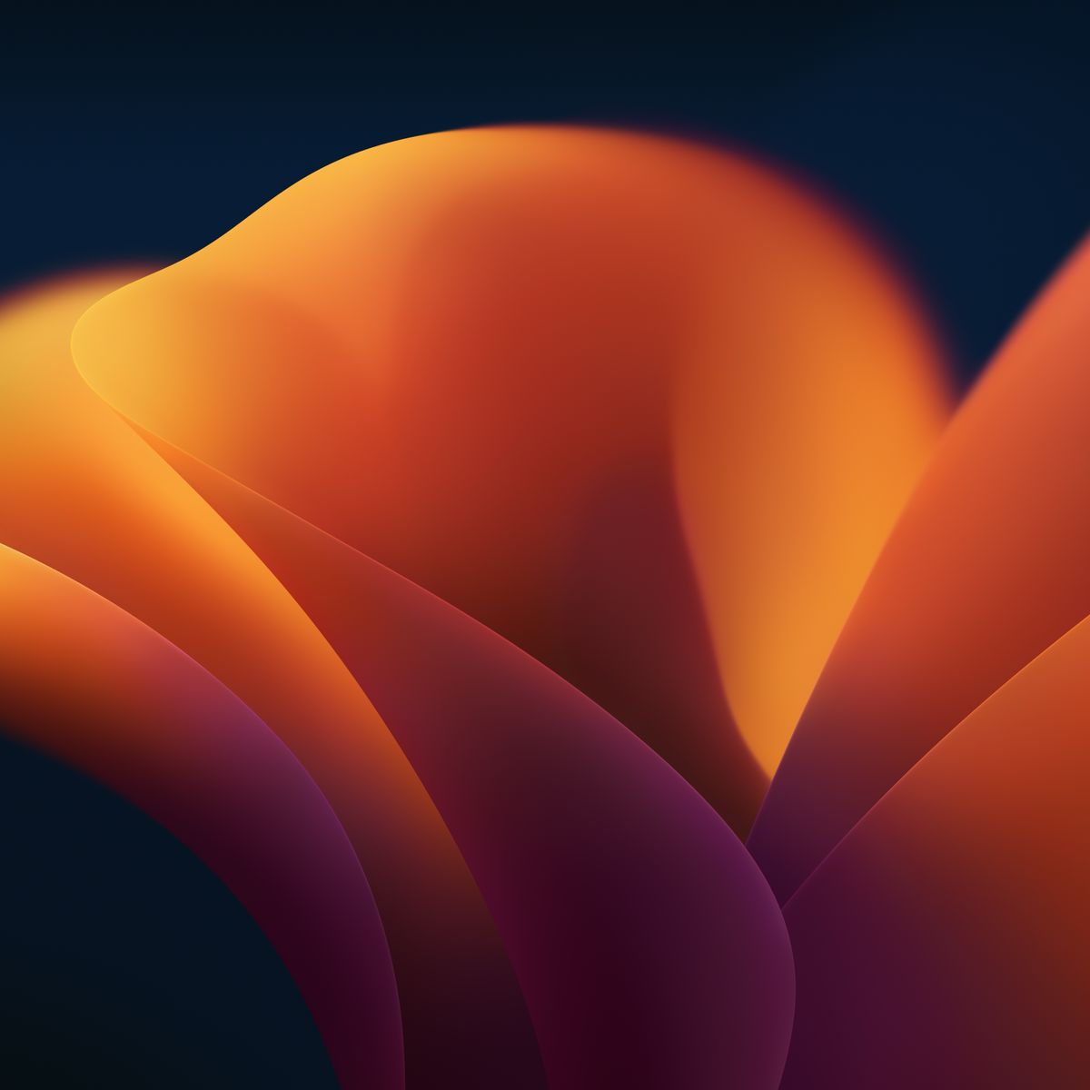 Mac - Dynamic Wallpaper Club