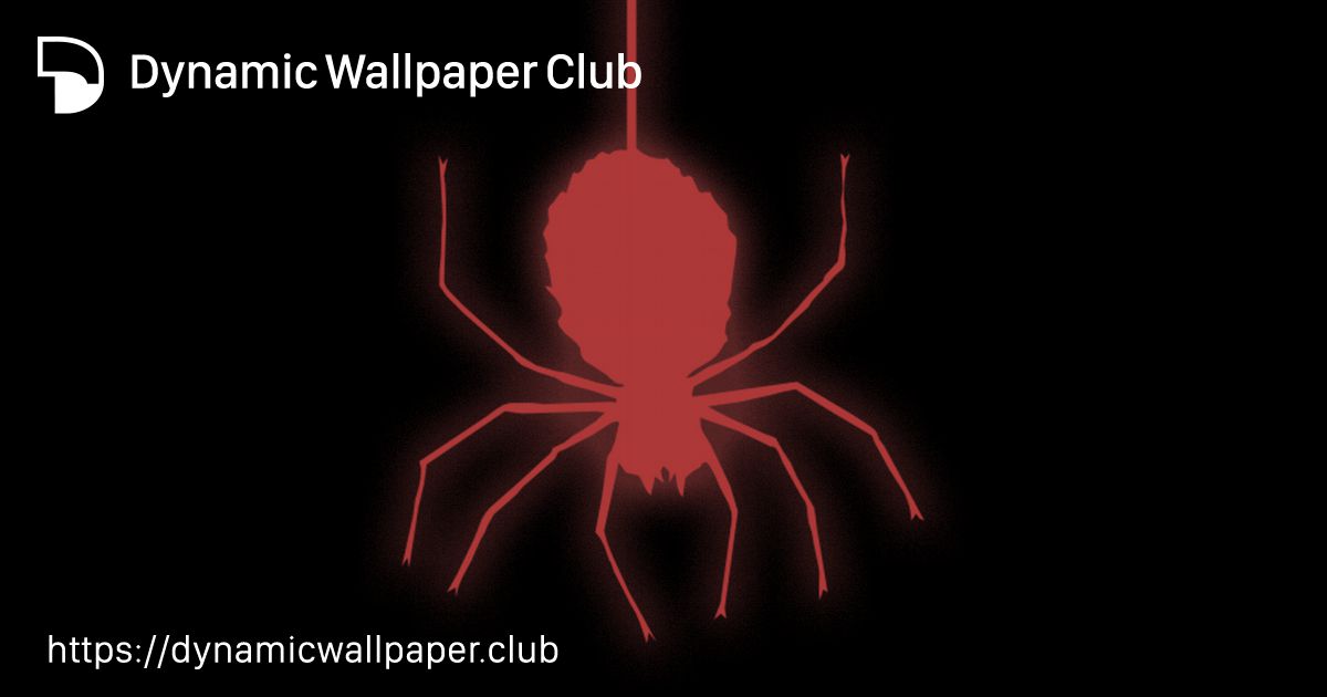 spider - Dynamic Wallpaper Club