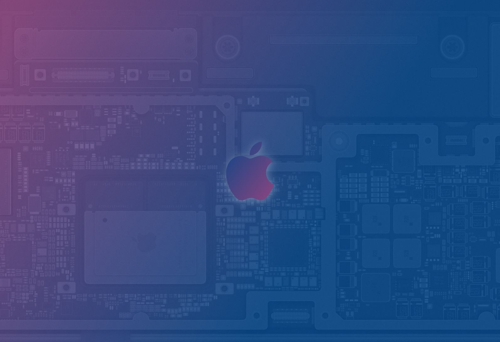 X-Ray Gradient 4K - Dynamic Wallpaper Club