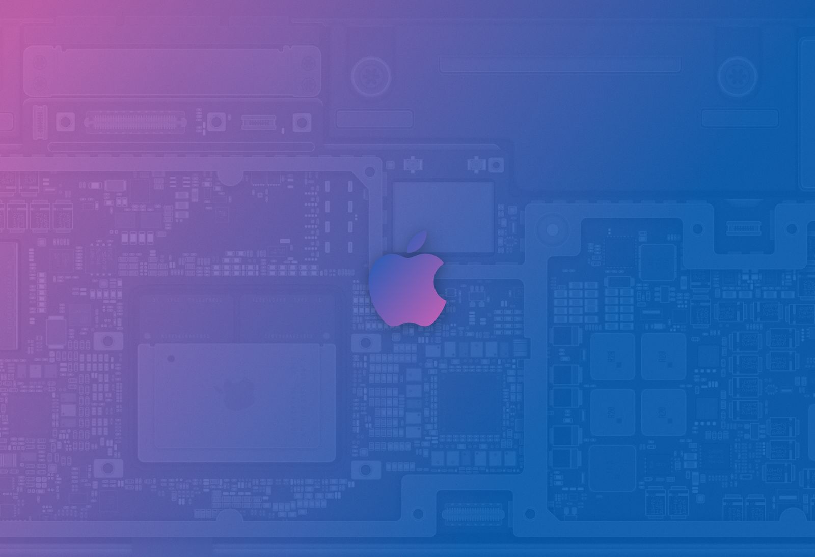 X-Ray Gradient 4K - Dynamic Wallpaper Club