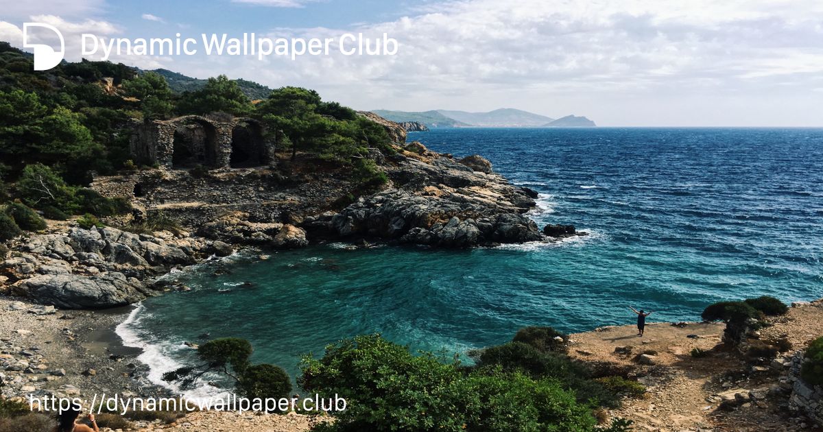 dynamic_walls - Dynamic Wallpaper Club