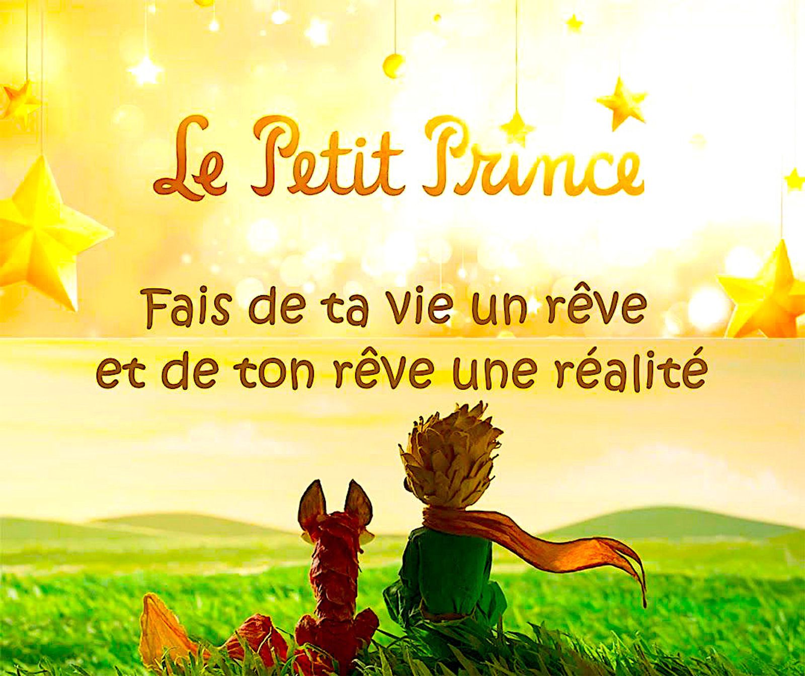 Dynamic Wallpaper Gallery - Dynamic Wallpaper Club