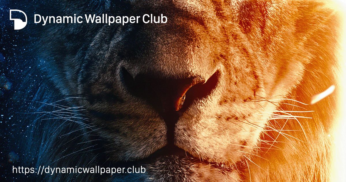 Lion - Dynamic Wallpaper Club