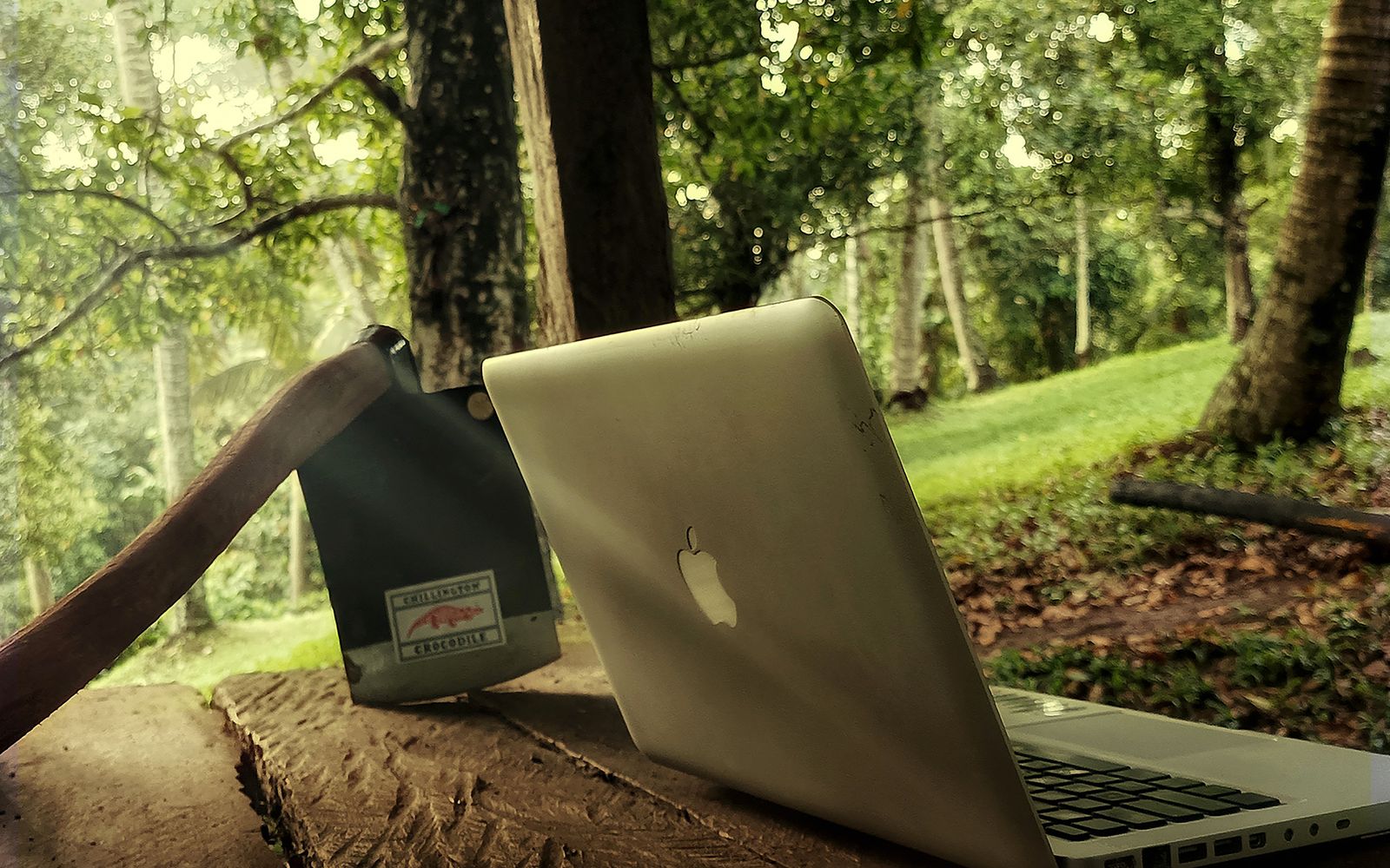 Dynamic Wallpaper Gallery - Dynamic Wallpaper Club