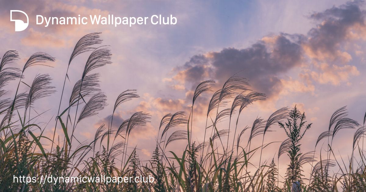 A Day - Dynamic Wallpaper Club