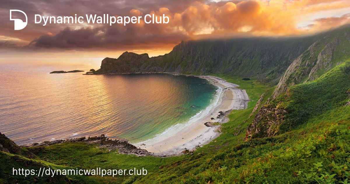 apple - Dynamic Wallpaper Club