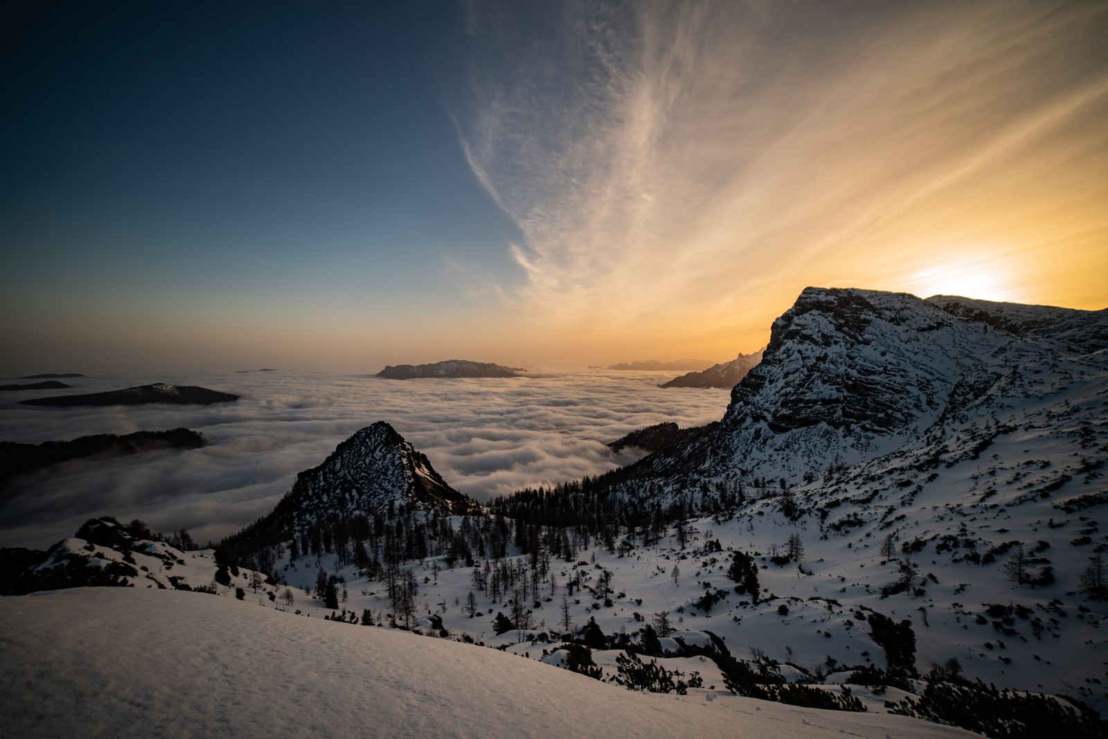 Dynamic Wallpaper Gallery - Dynamic Wallpaper Club