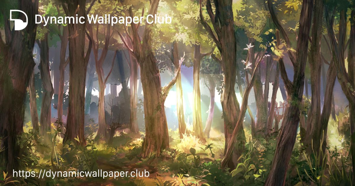 Forest with time - Dynamic Wallpaper Club