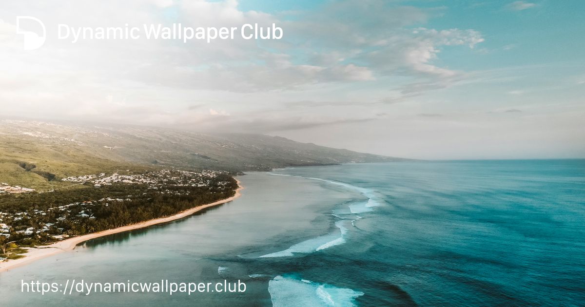 Se - Dynamic Wallpaper Club