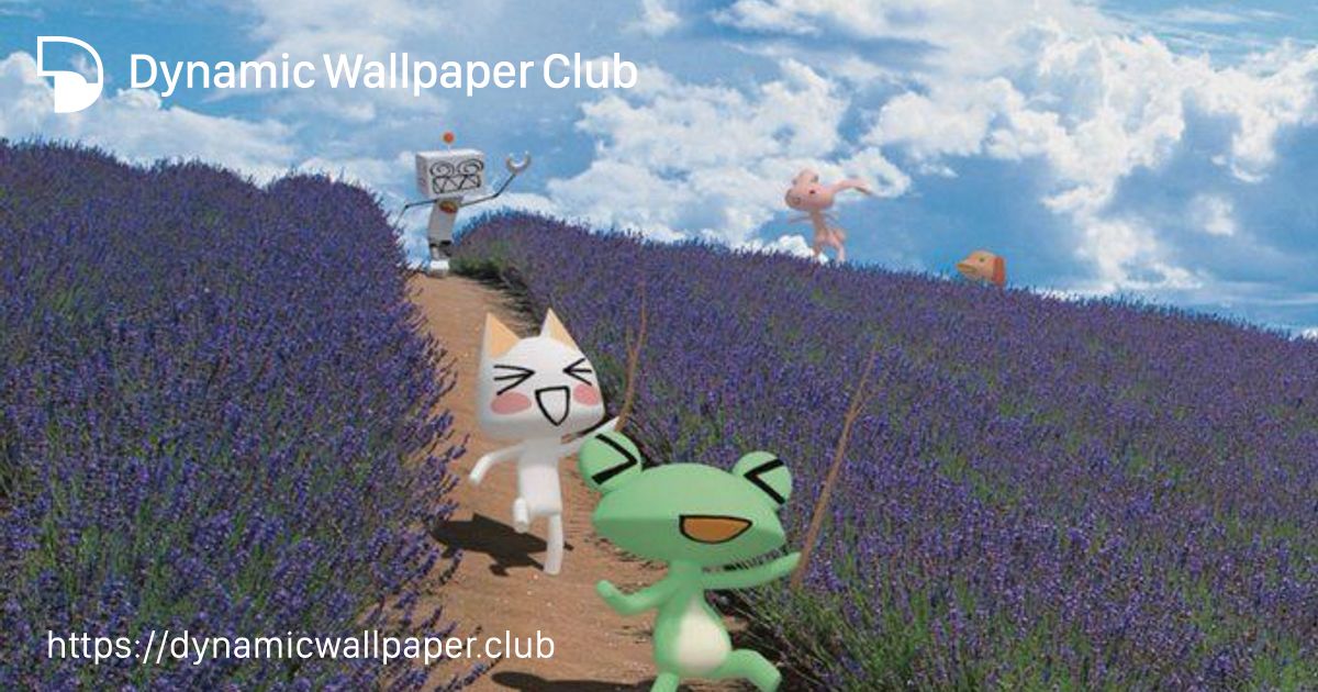 White cat - Dynamic Wallpaper Club