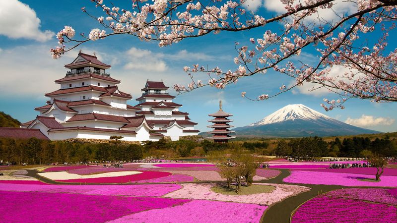 43 Images of Japan - Dynamic Wallpaper Club