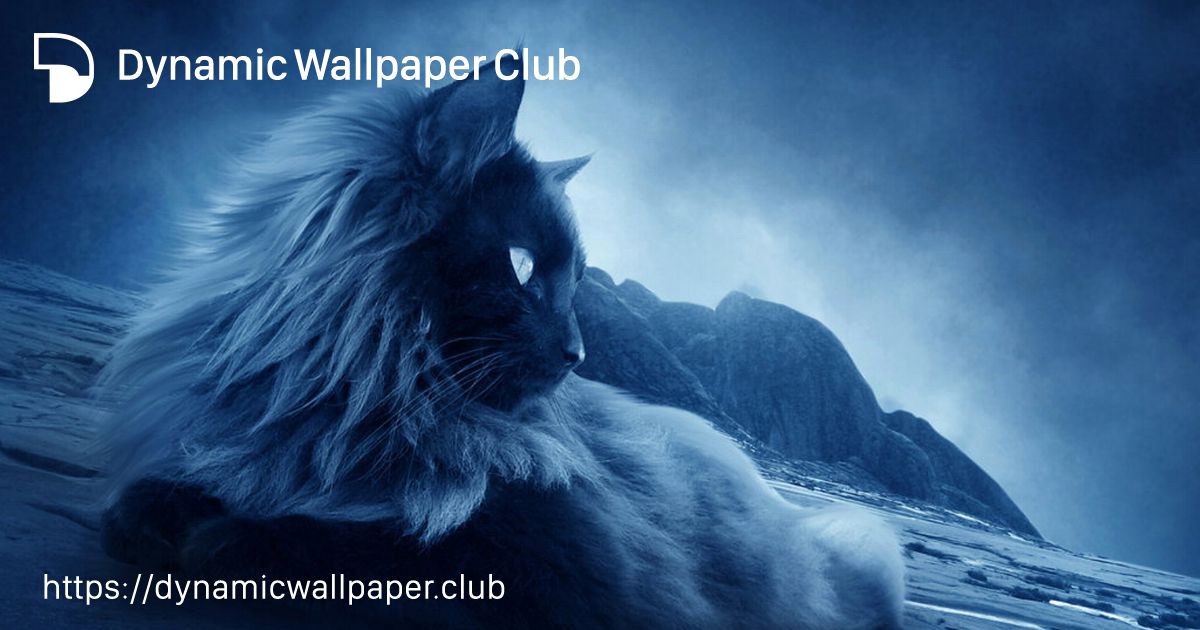cats - Dynamic Wallpaper Club