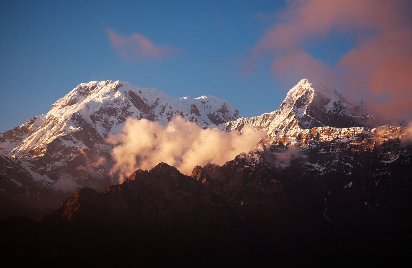 Dynamic Wallpaper Gallery - Dynamic Wallpaper Club