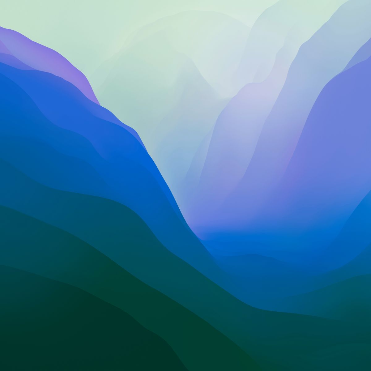 Monterey Chill - Dynamic Wallpaper Club