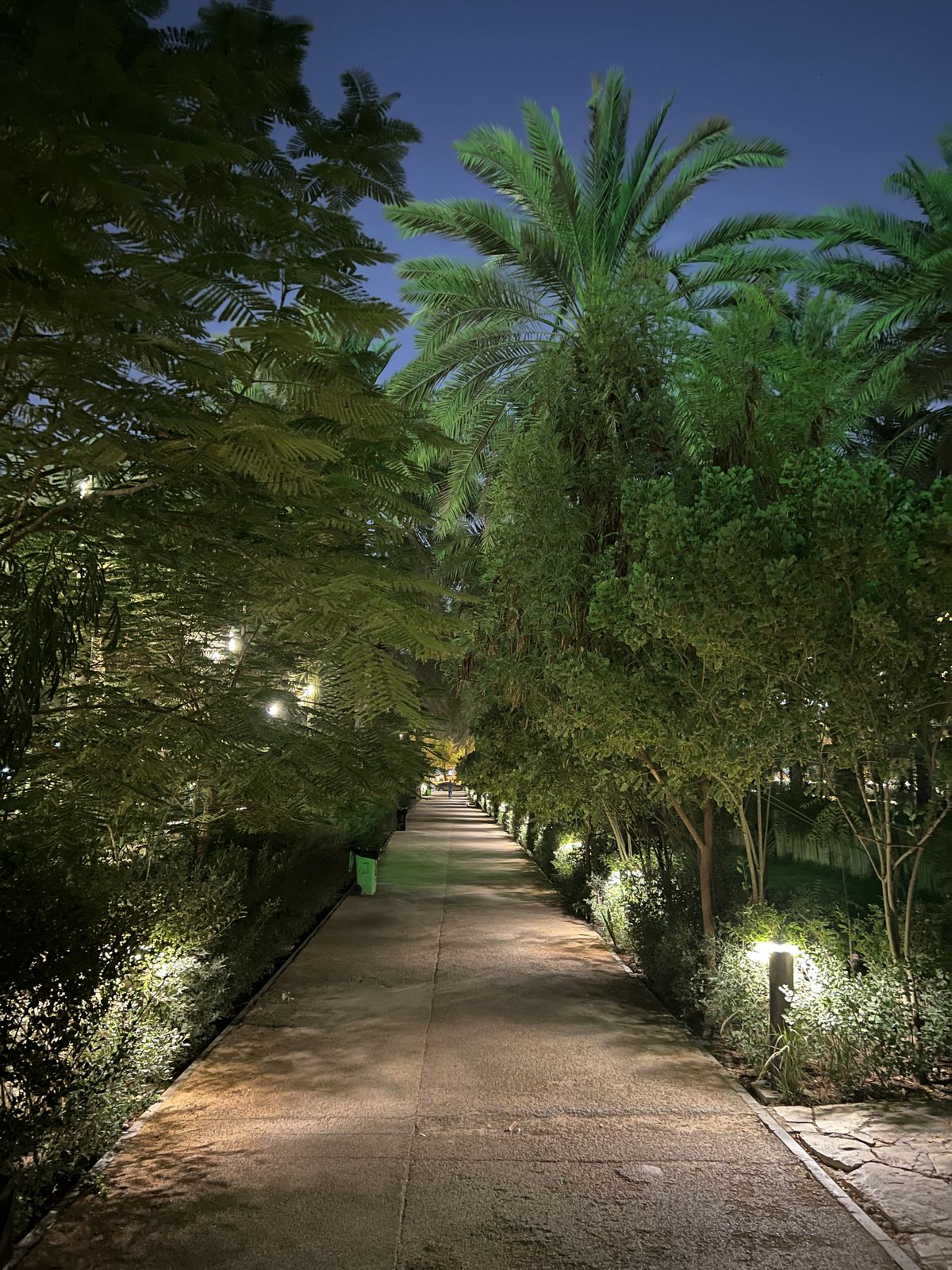 Dynamic Wallpaper Gallery - Dynamic Wallpaper Club