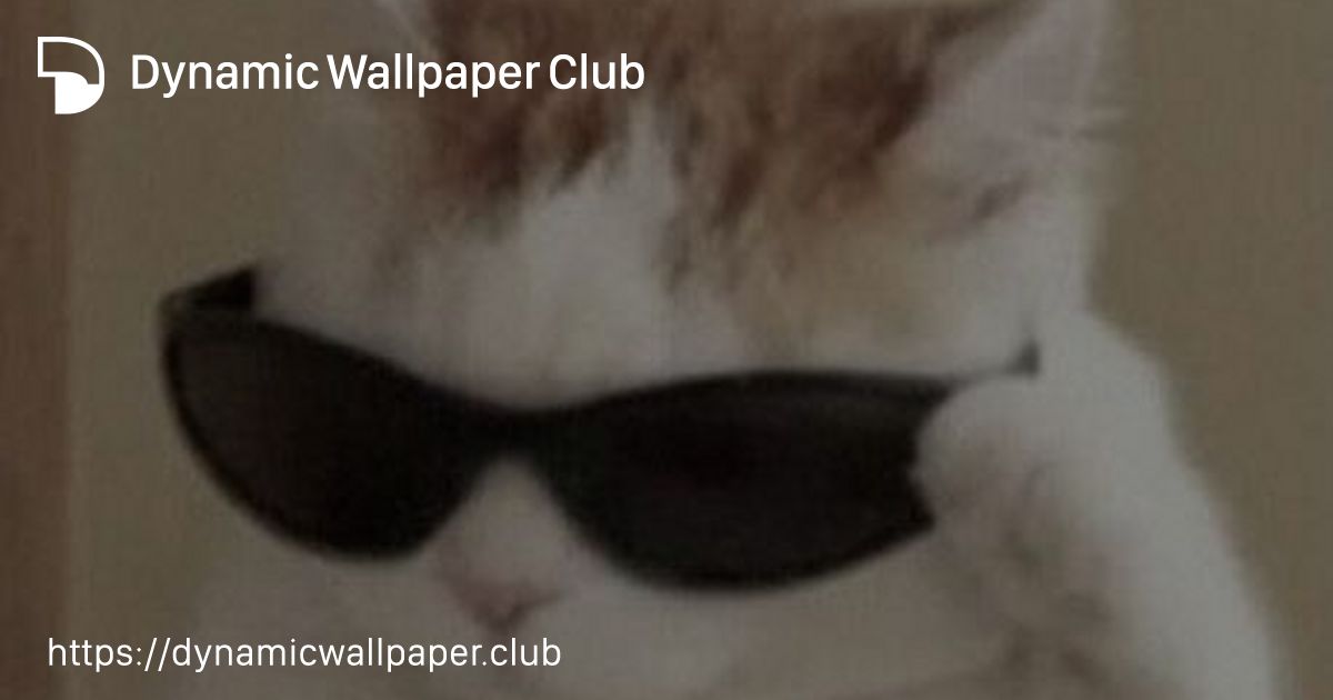 summer - Dynamic Wallpaper Club