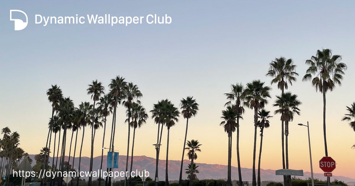 beach - Dynamic Wallpaper Club