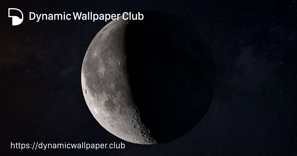 First - Dynamic Wallpaper Club