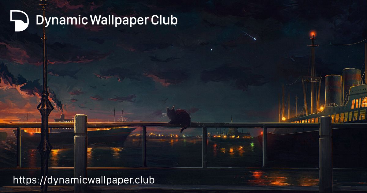 cat - Dynamic Wallpaper Club